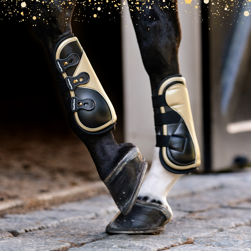 EquiFit® Official Online Store